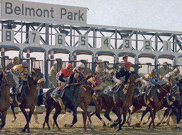 Thoroughbred Daily News Staff Blog: Get Me To The Eighth Pole, Baby