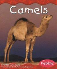 Illuminating Readers: Animal Books A-F