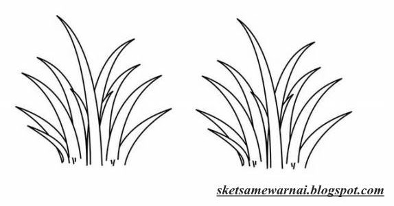 Sketsa Rumput / Hasil gambar untuk gambar sketsa rumput | Sketsa ...