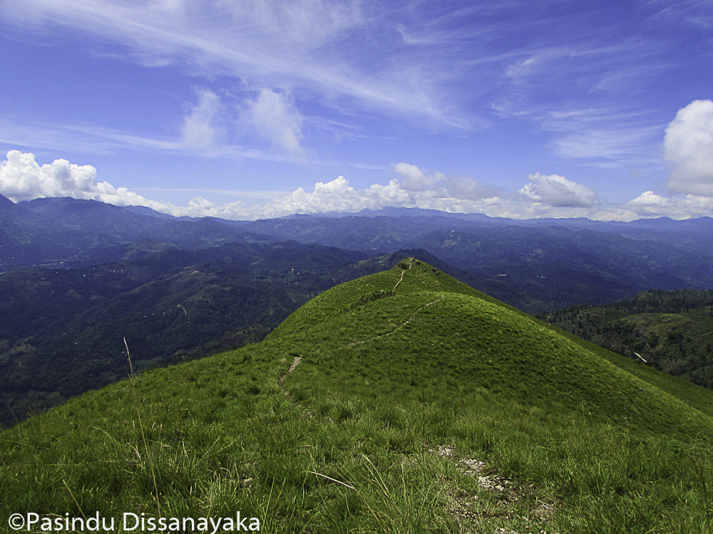 Travel Sri Lanka: නාරංගල Narangala