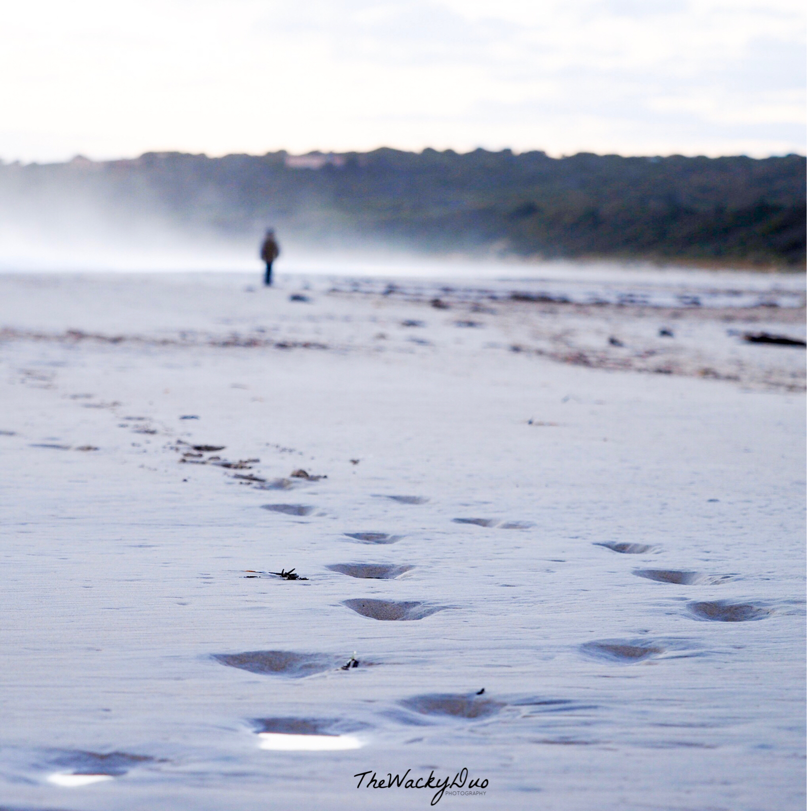 Margaret River Perth Self Drive Holiday Blog : One week Itinerary ...