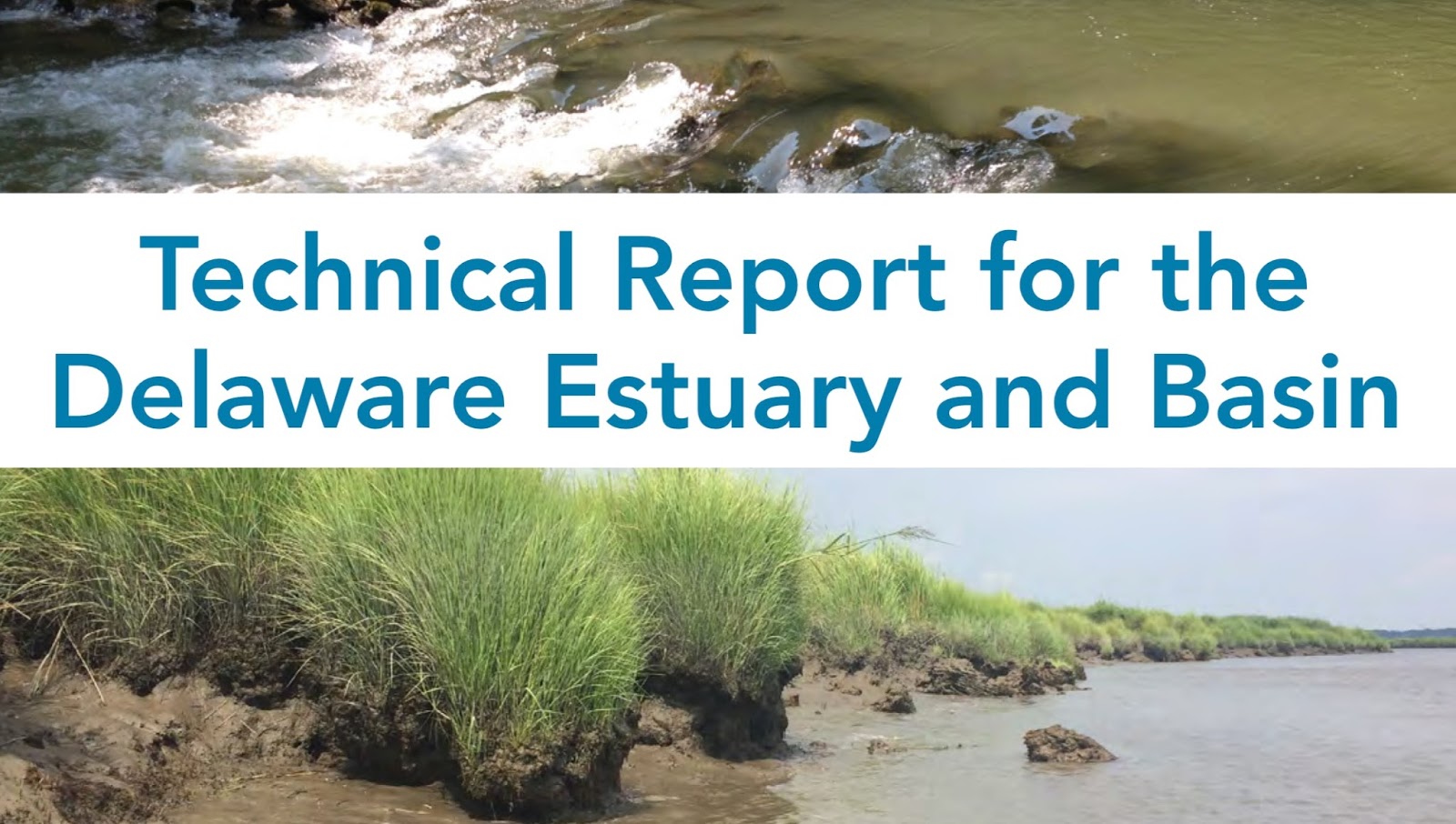 PA Environment Digest Blog: Report On Delaware Estuary And Basin Cause ...
