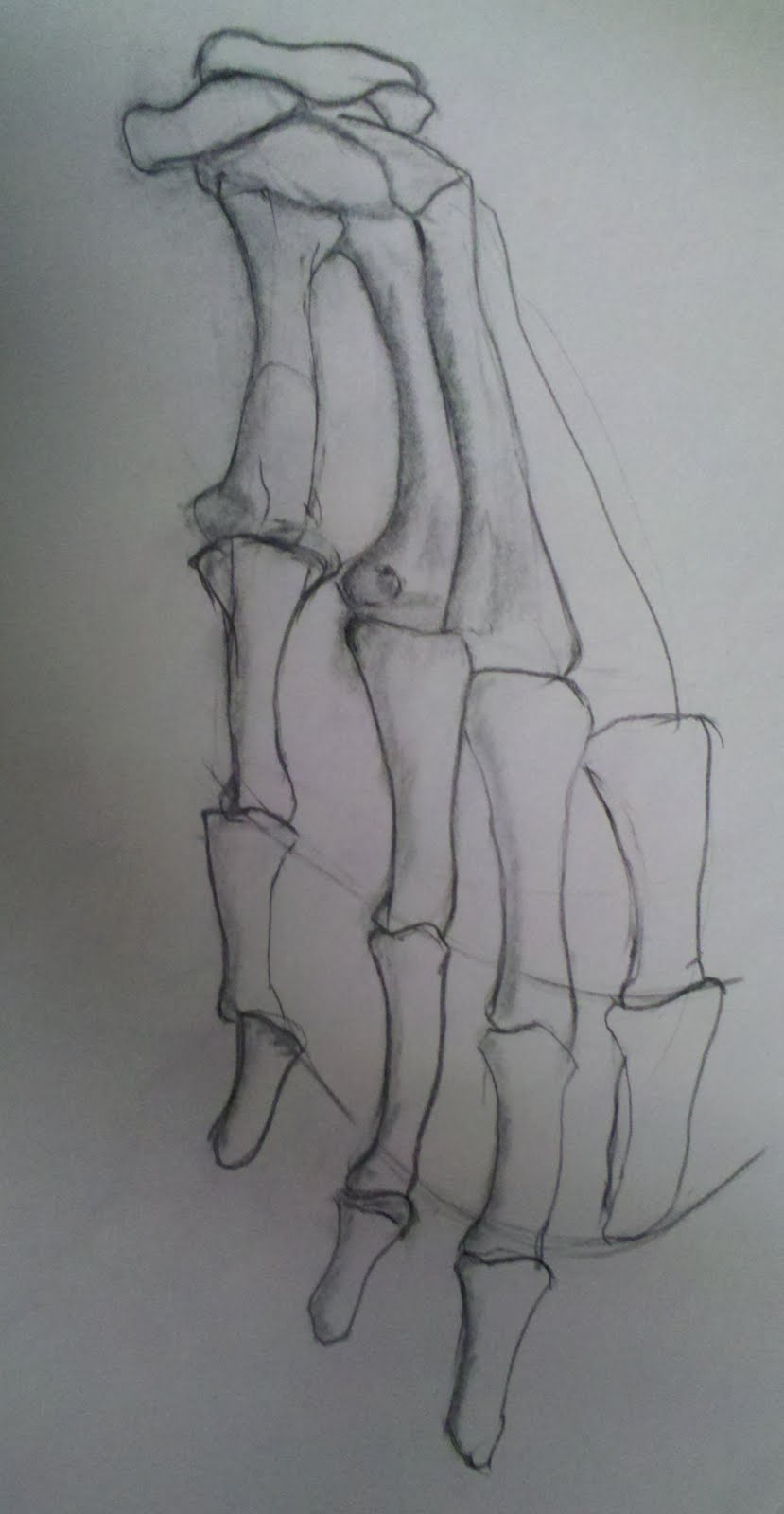 Stephen Thoni: Quite the handful