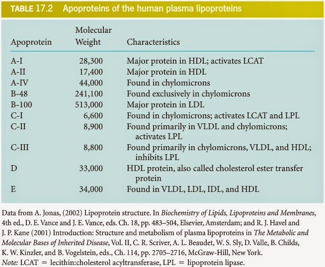 LIPOPROTEIN METABOLISM ~ Biochemistry and Molecular Biology