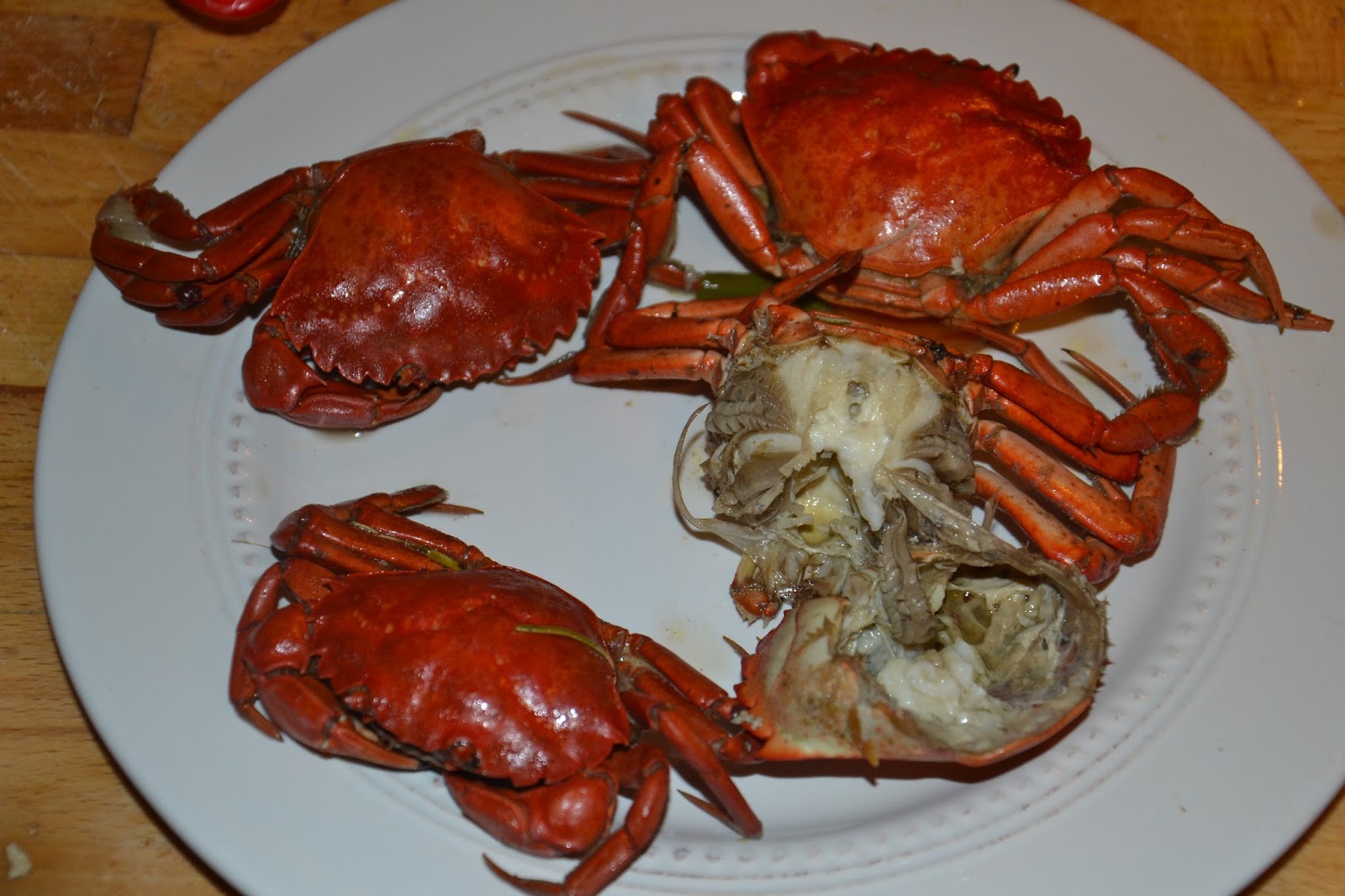 Oppdag Fisk!: strandkrabbe/green crab/carcinus maenas