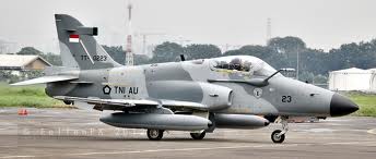 Muhammad Amrullah Satria: Hawk 209 dalam berbagai varian warna