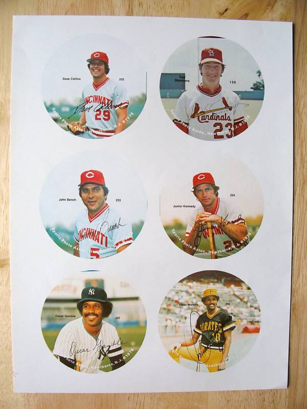 The Fleer Sticker Project: 1981 Fleer and Sports Photo Association Buttons