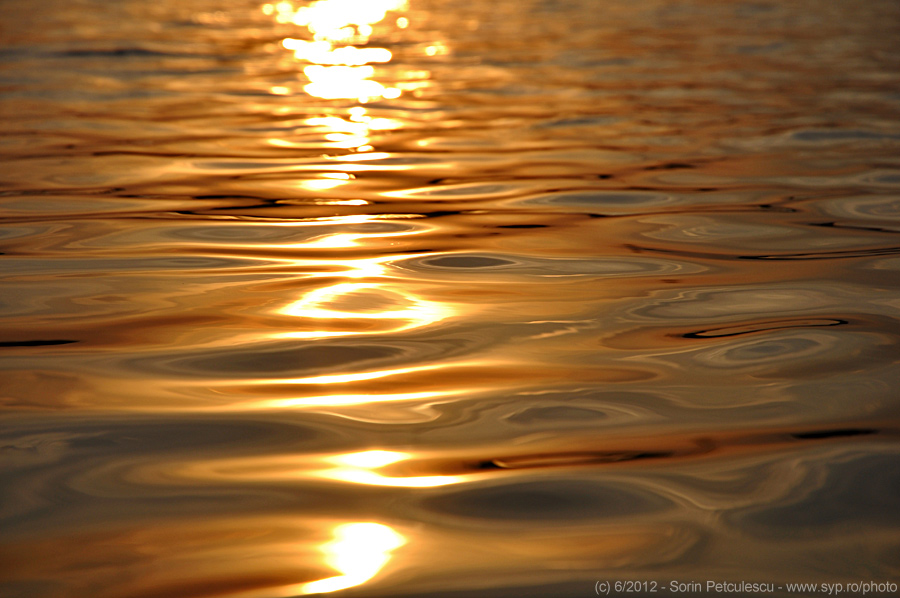 Sorin Petculescu - Blog de Fotografie - www.sorinpetculescu.ro: Golden ...