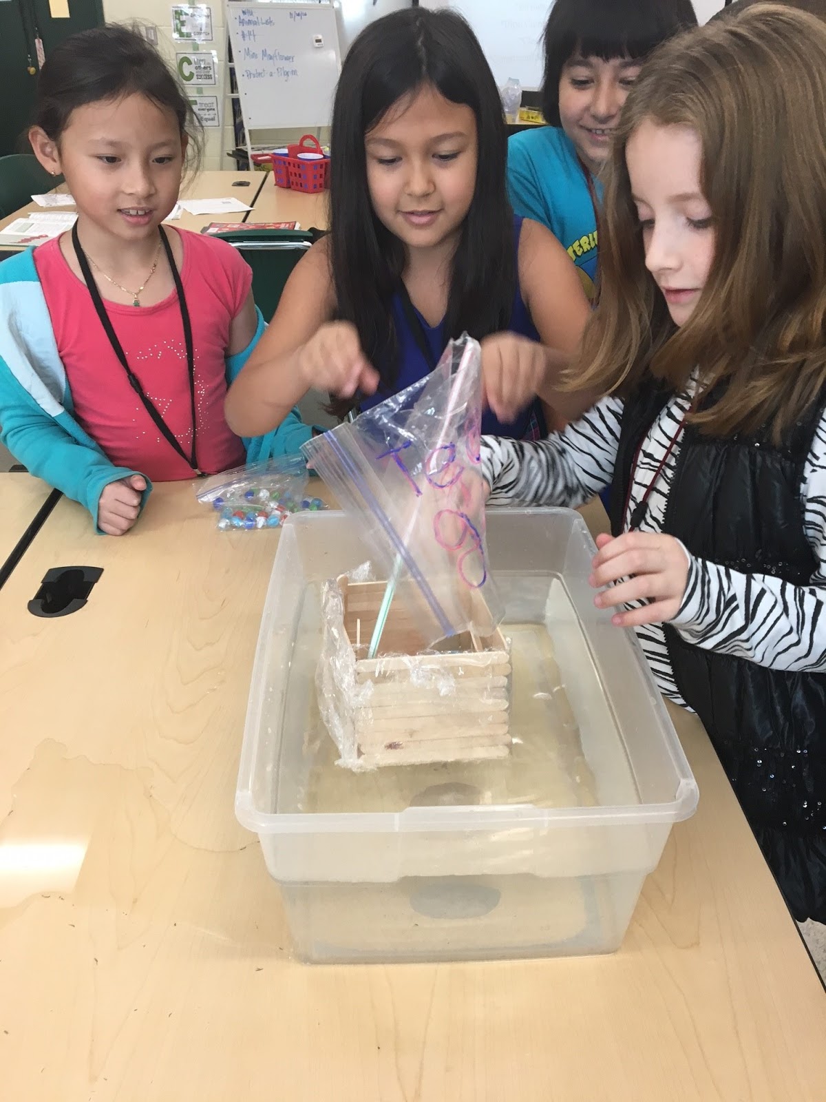 Waterleaf Elementary Gifted Program: Wednesday - 3rd Grade