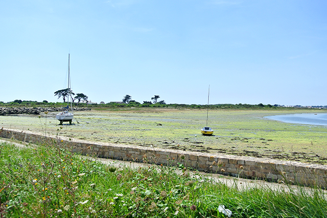 It's Not Serious!: Memories from Riantec