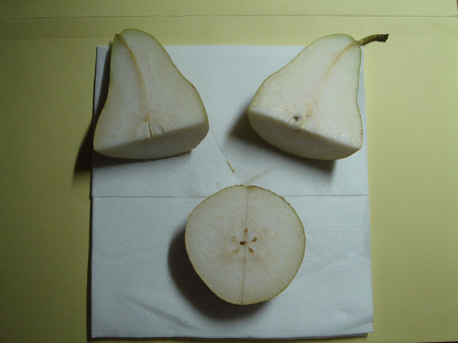 BLOG CLOROFILA: Fruto: Pomo.