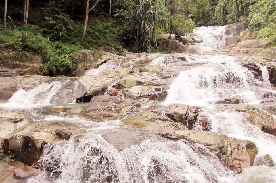 Hello Buu: The Beauty of Nature: Lata Mengkuang