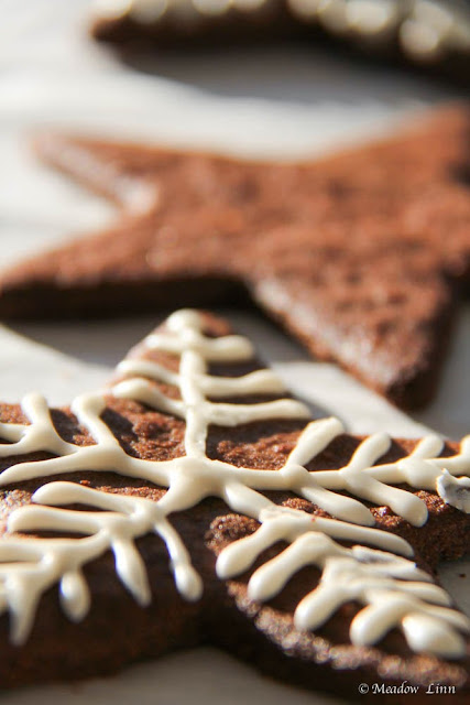 SAVOR THE DAY: The Gold Star Experiment