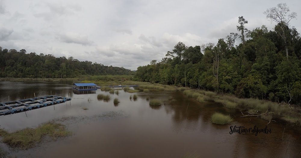 Kembali Lagi Ke Tasik Chini | Blog Sihatimerahjambu