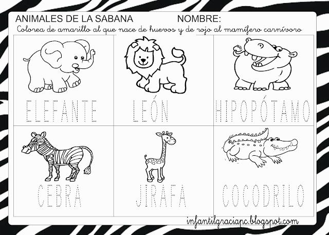 INFANTIL de GRACIA: ESTUDIAMOS ALGUNOS ANIMALES DE LA SABANA