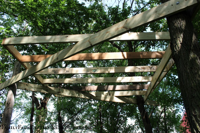Family Farm Experience: DIY How to Build your own Treehouse