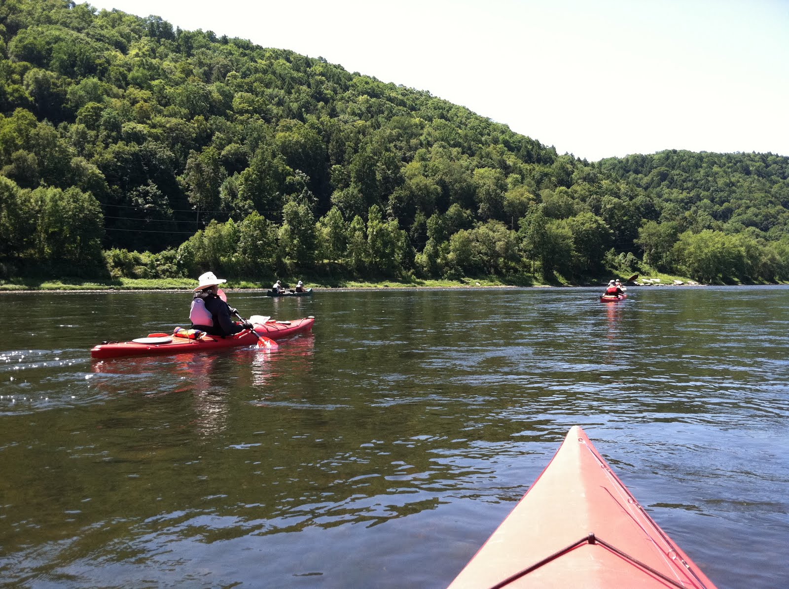 Adventure Awaits: Allegheny River PA, Kayaking