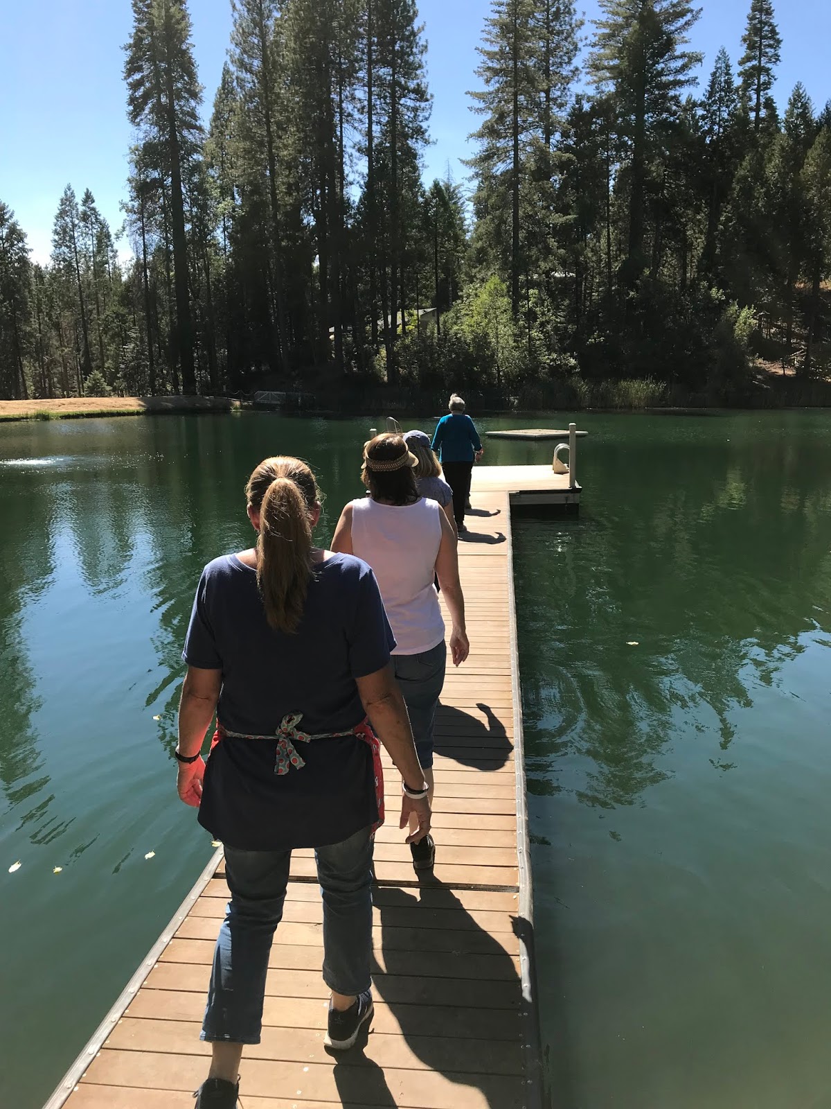 Sew'n Wild Oaks Quilting Blog: Sew'n Wild Oaks Retreat Day Three