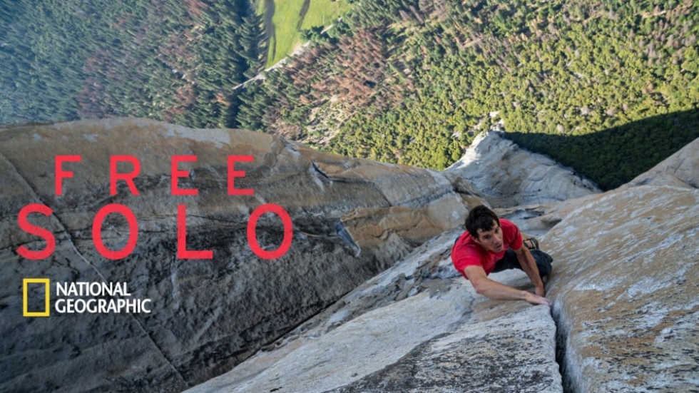 Palomino Dream : Free Solo