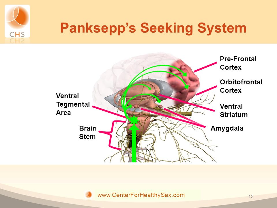 Peter Atkinson: The Motivated Brain