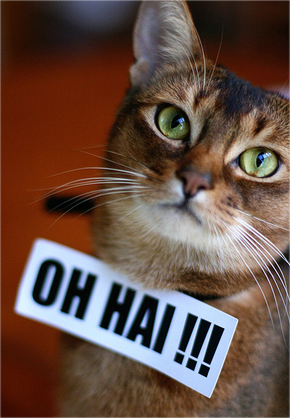 Photography: 05/15/13