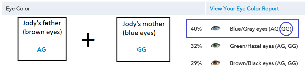 Family History Research by Jody Lutter: Punnett Squares: 2013 version