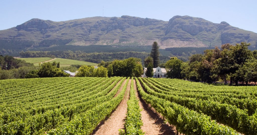Team Building Paarl Team Building Johannesburg team-building-paarl-team-building-johannesburg