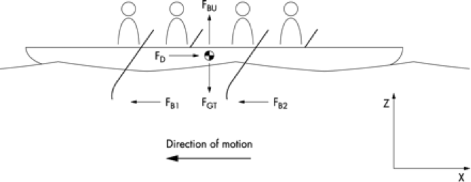 The Biomechanics of Rowing: Biomechanics of the Rowing Stroke by ...