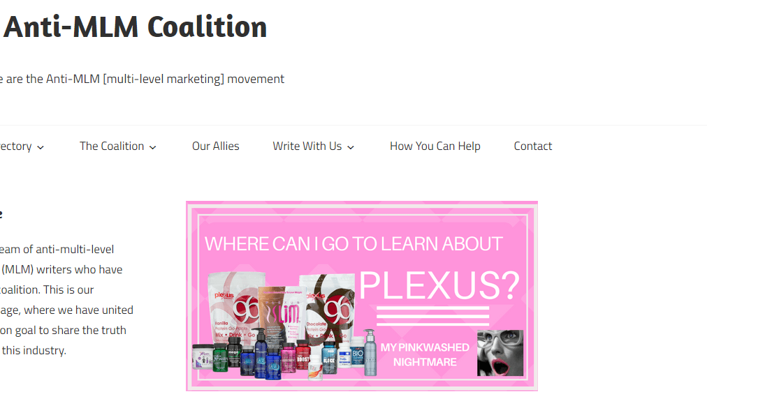 Pink Drink Scam Alert: Meet My New Friend Elle Beau and the Anti-MLM ...