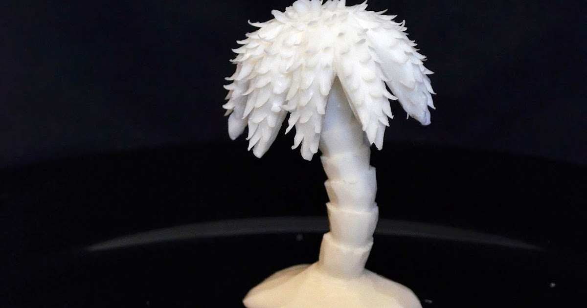 food carving ivelin stanchev: Soap Carving Palm Tree by Ivelin Stanchev