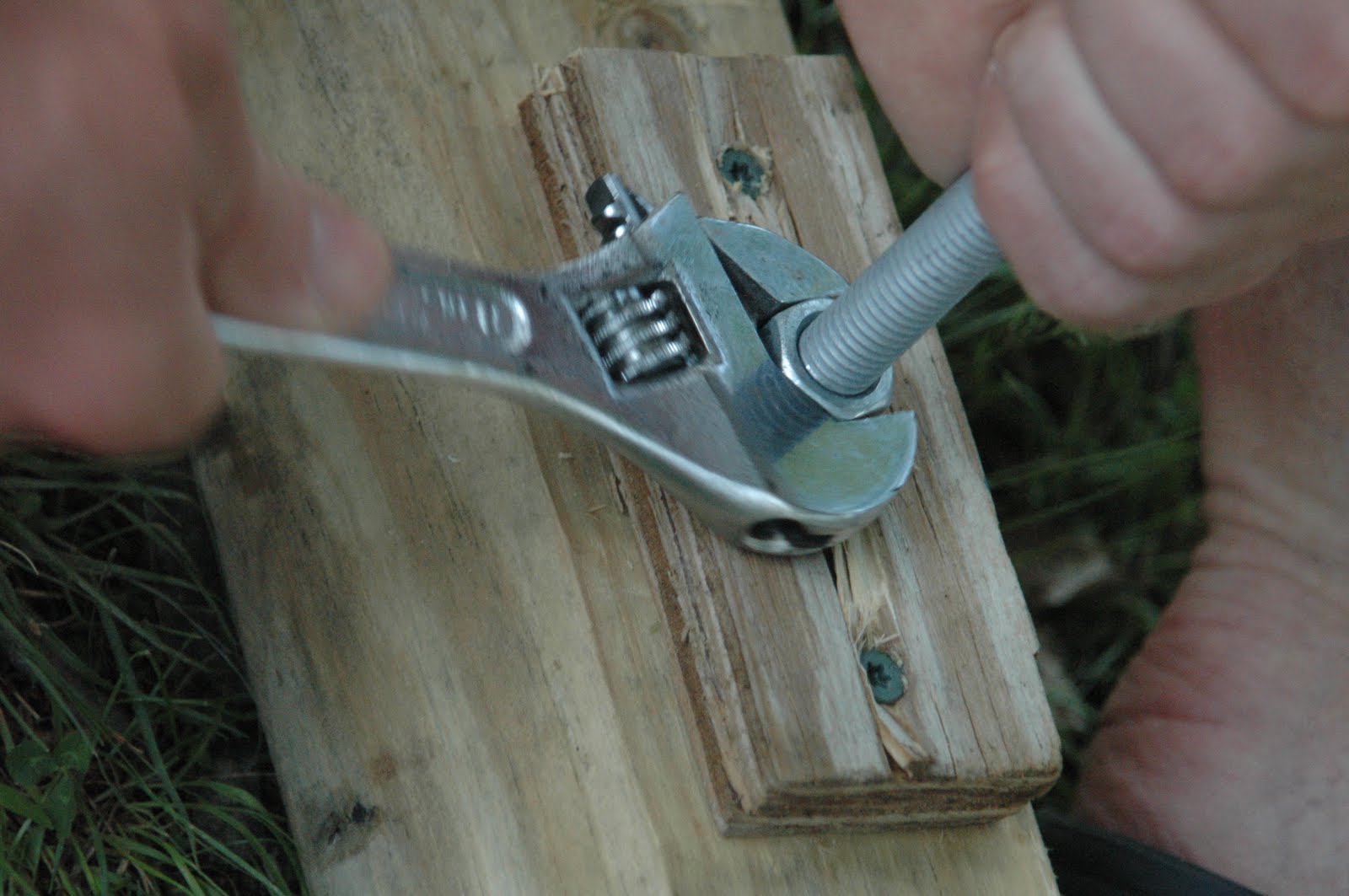 Green Legacy Farm: May 2011