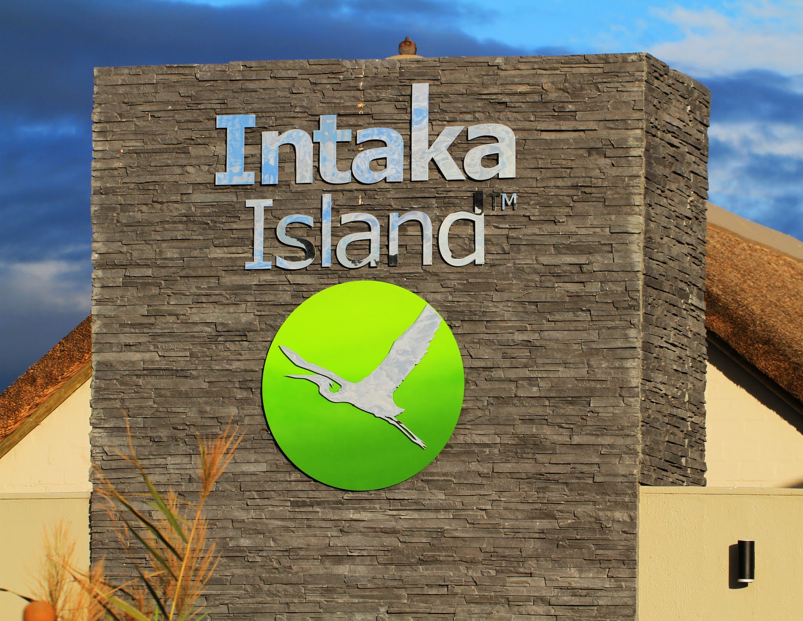 INTAKA ISLAND CAPE TOWN-BIRDING ON A PLATE