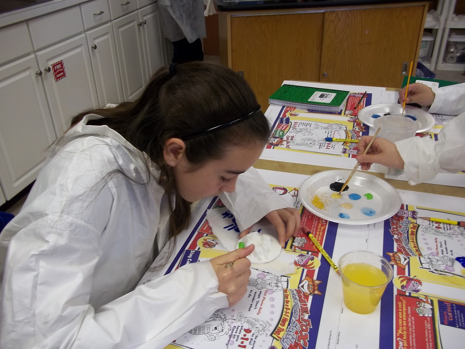 CSI:Challenging Scientific Investigations: Molds and Casts: 5th