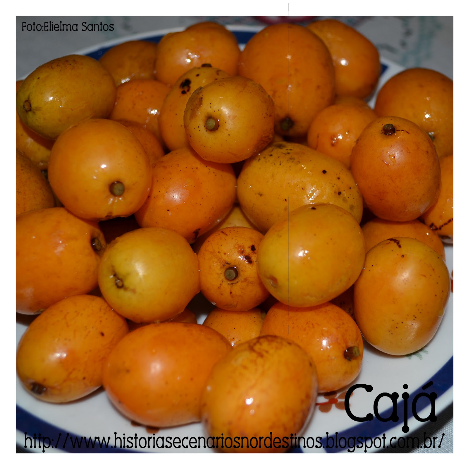 Histórias e Cenários Nordestinos: Cajá