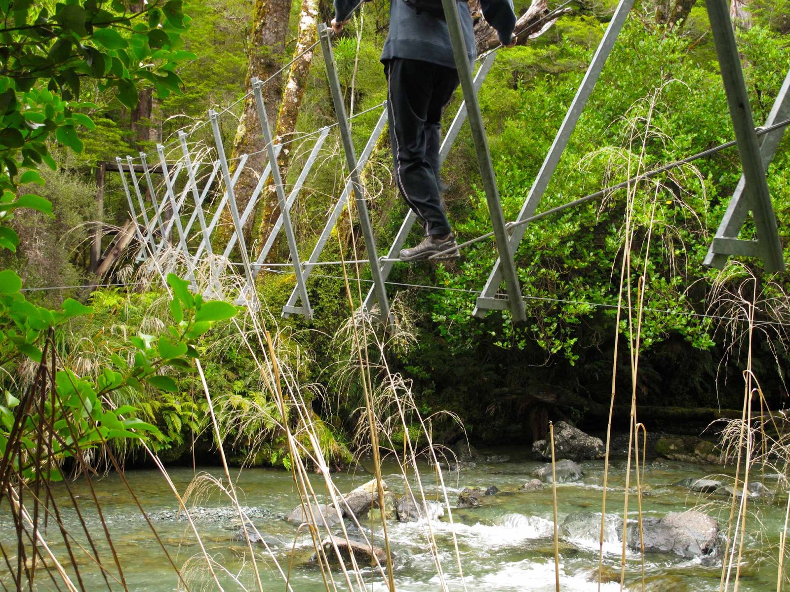 Section Hiking the Te Araroa Trail: Visions of a Long White Cloud: A ...