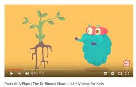Science with Vanesa: DR BINOCS: PARTS OF A PLANT