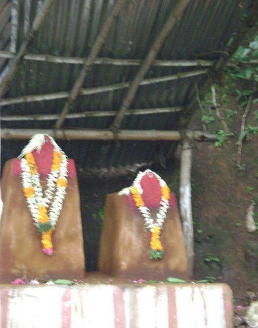 Tamilnadu Tourism: Kalikesam Forest & Waterfalls – Kali Amman Temple