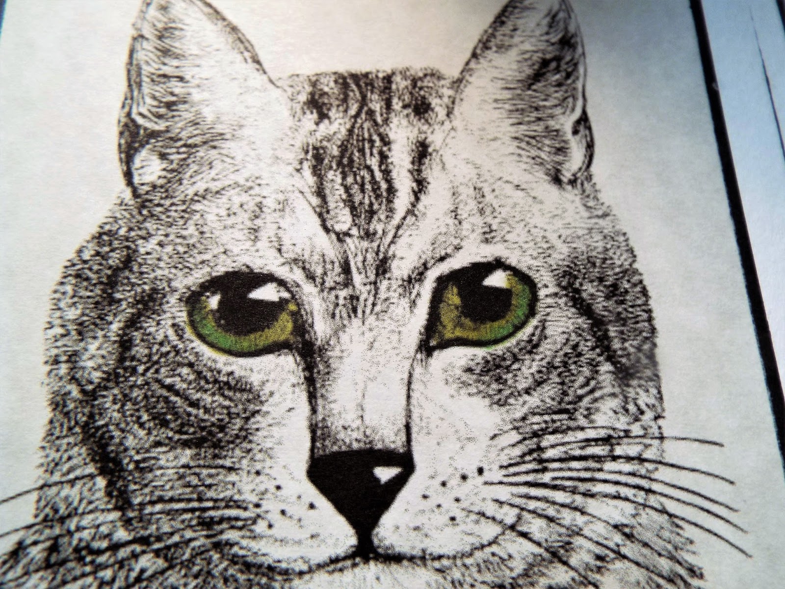 Magenta: Making a Cool Cat Card and a Few Tips and a Freebie