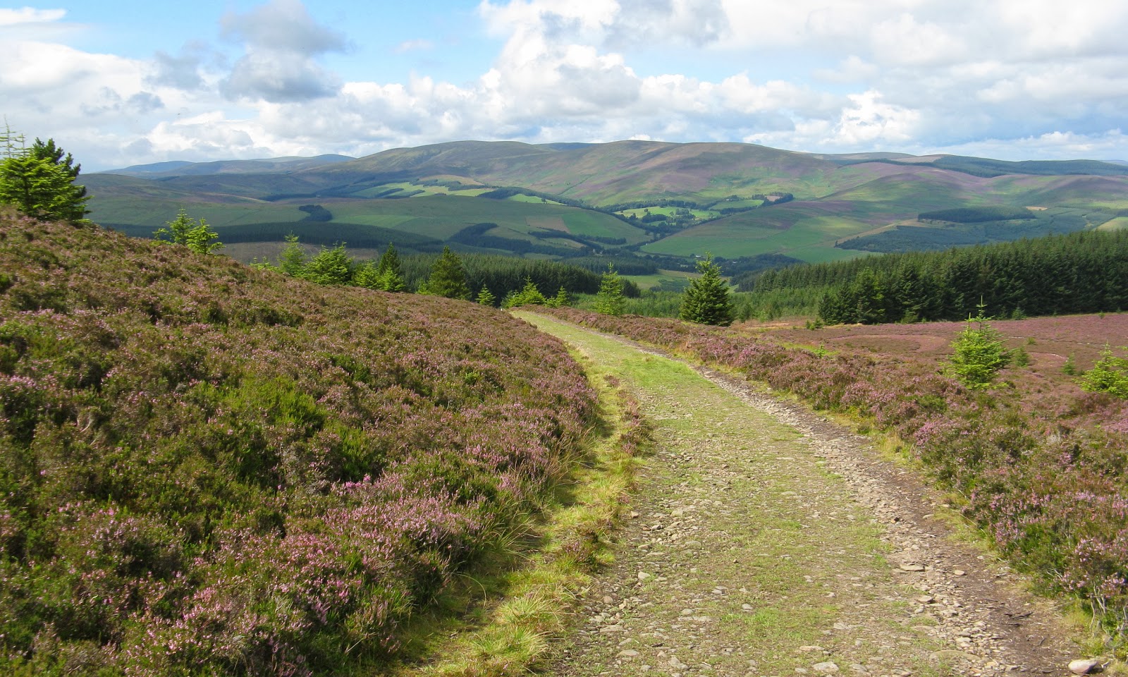 Neil's Hillwalking Exploits: Minch Moor