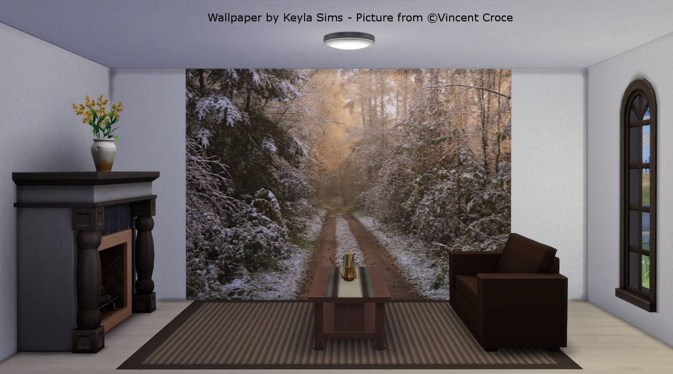Keyla Sims : TS4 Wallpapers: ©Vincent Croce