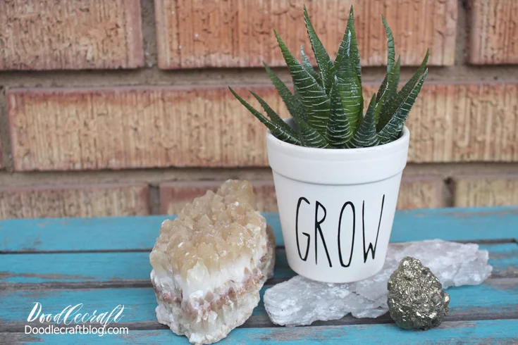 Rae Dunn Inspired Terracotta Succulent Planter DIY