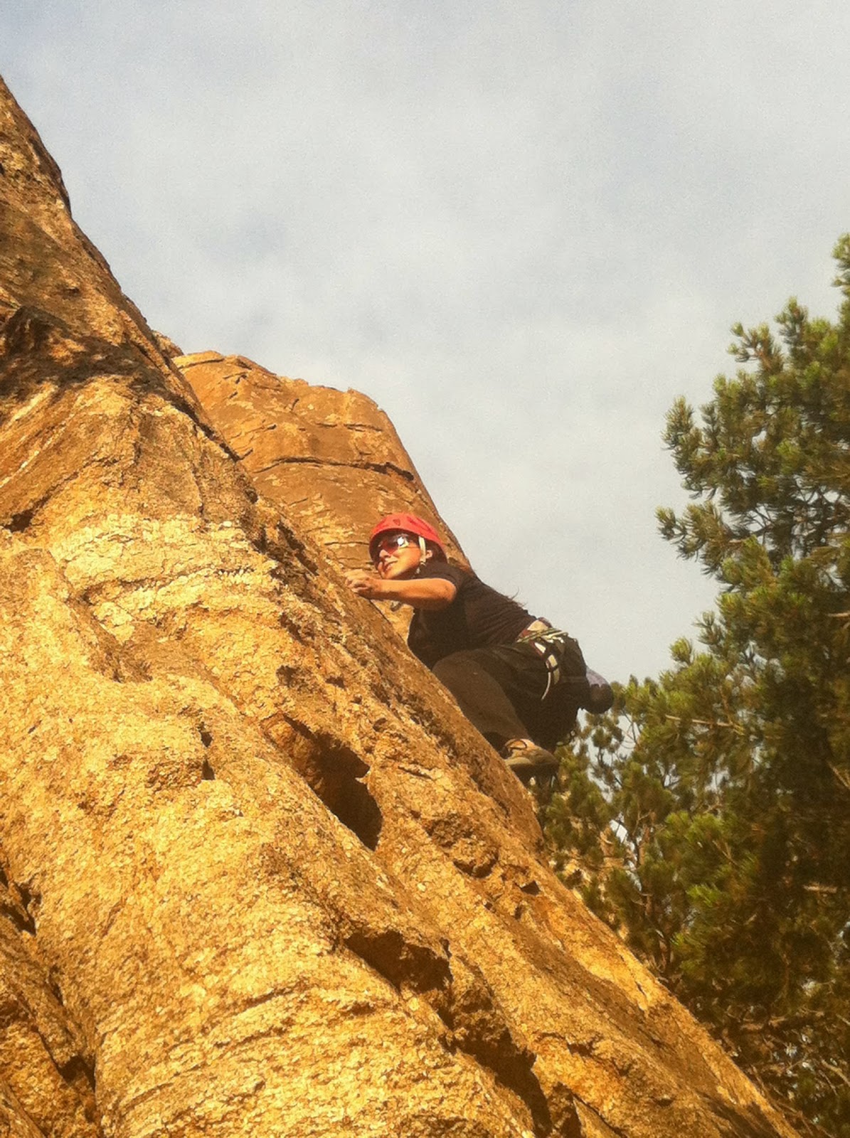 Lora Rivera: The Writing Process Blog Tour