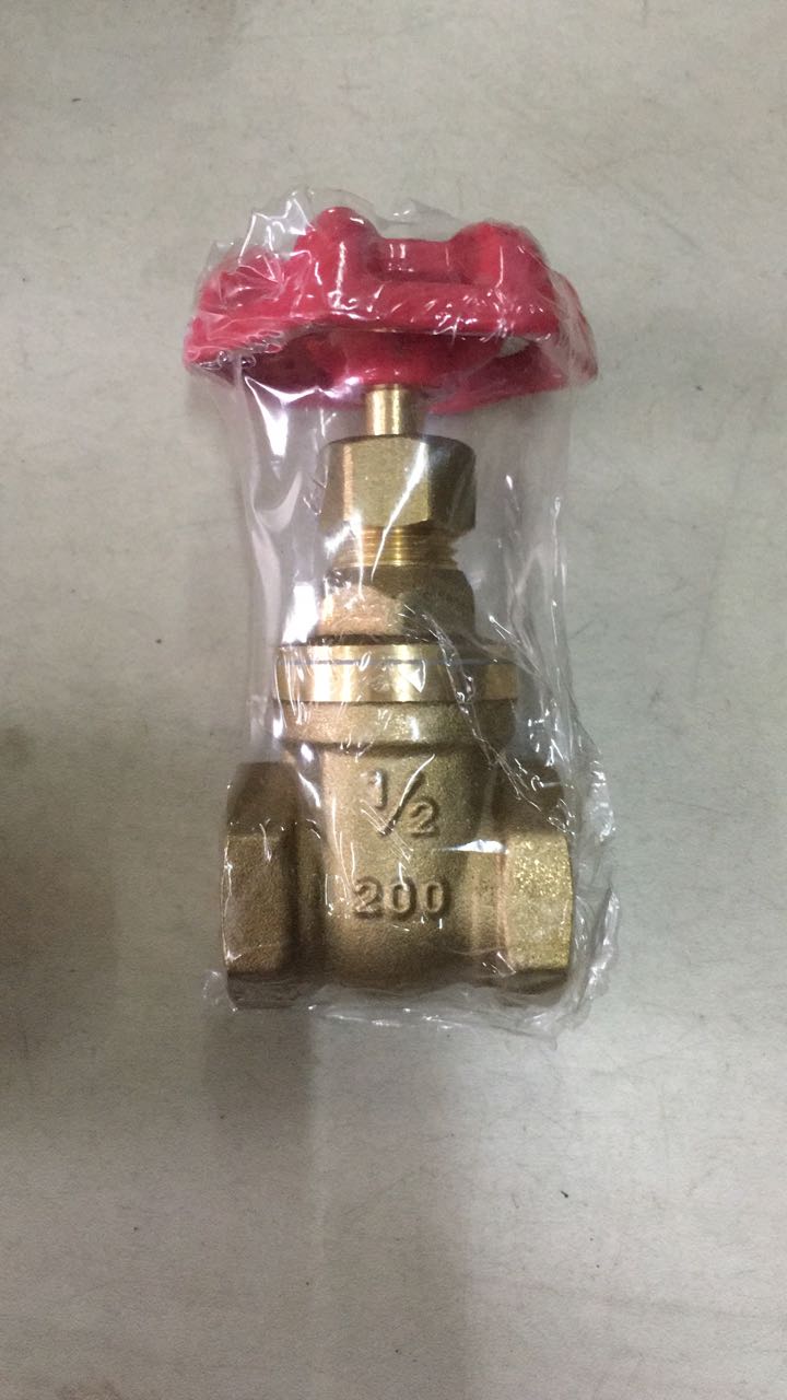 Check Valve PDAM: Check Valve PDAM