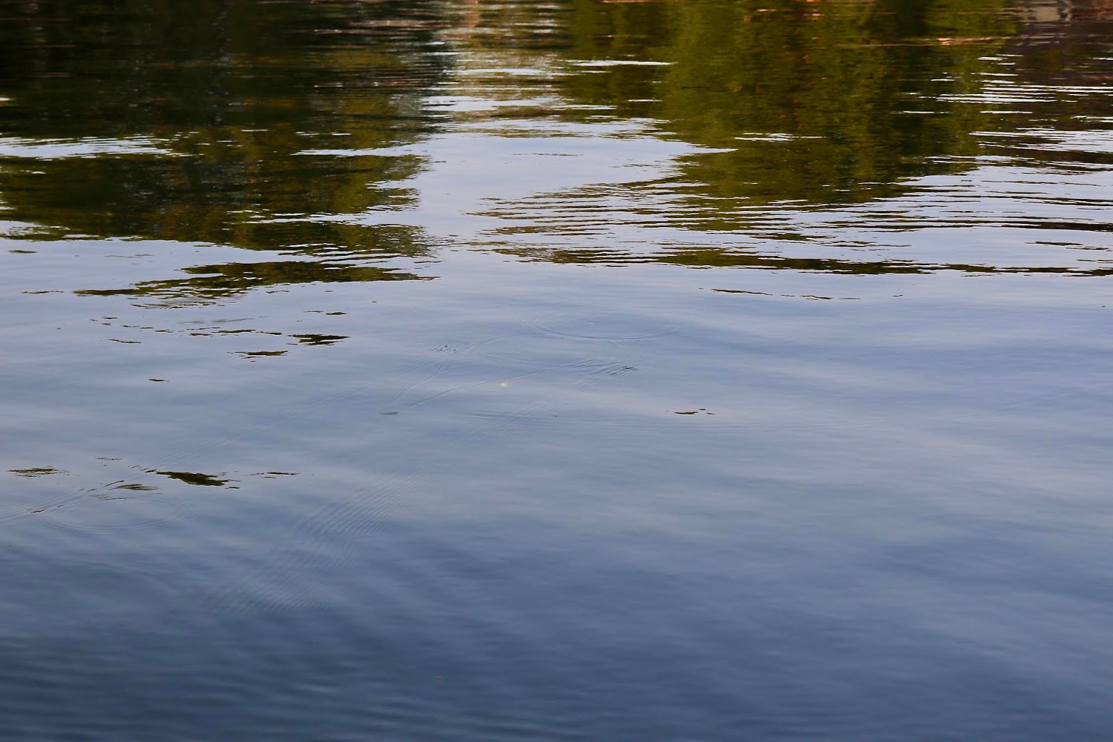 Lake Marion - Lakeville, MN - Brianne Sieberg