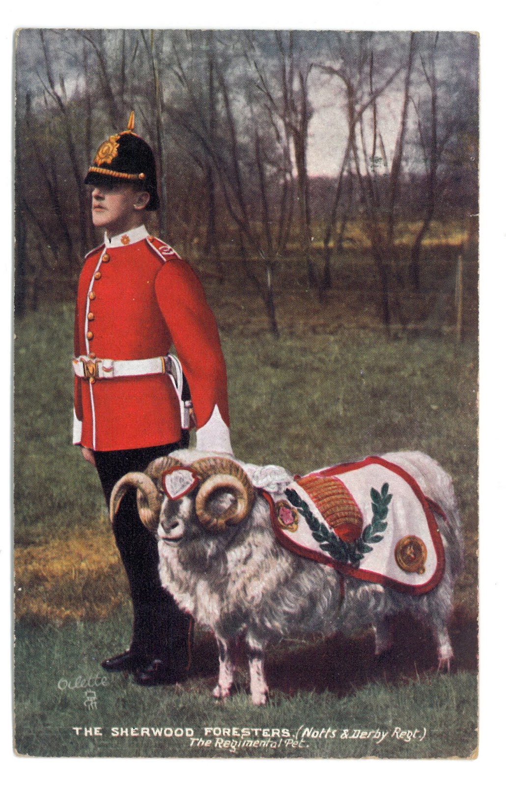 Army Service Numbers 1881-1918: The Sherwood Foresters - 1st & 2nd ...