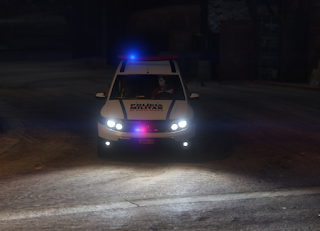 RENAULT DUSTER PMMG FIVEM