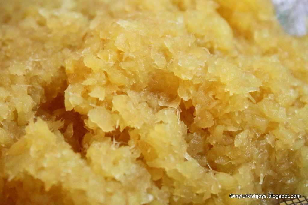 DIY: How to Make Homemade Ginger Ale ~ My Traveling Joys