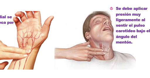 PRIMEROS AUXILIOS Y BÁSICO EN ENFERMERÍA: PULSO