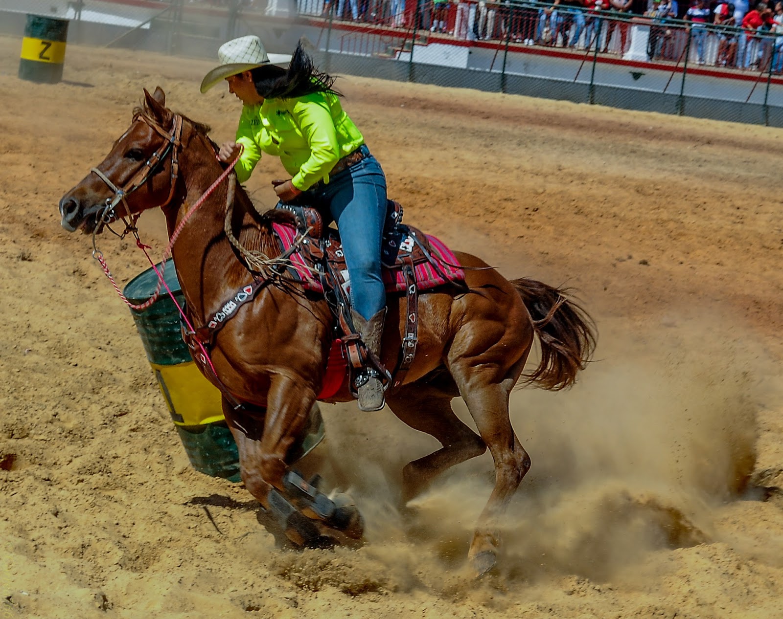 En el Colimador: ¿Rodeo cubano, espectáculo o deporte?