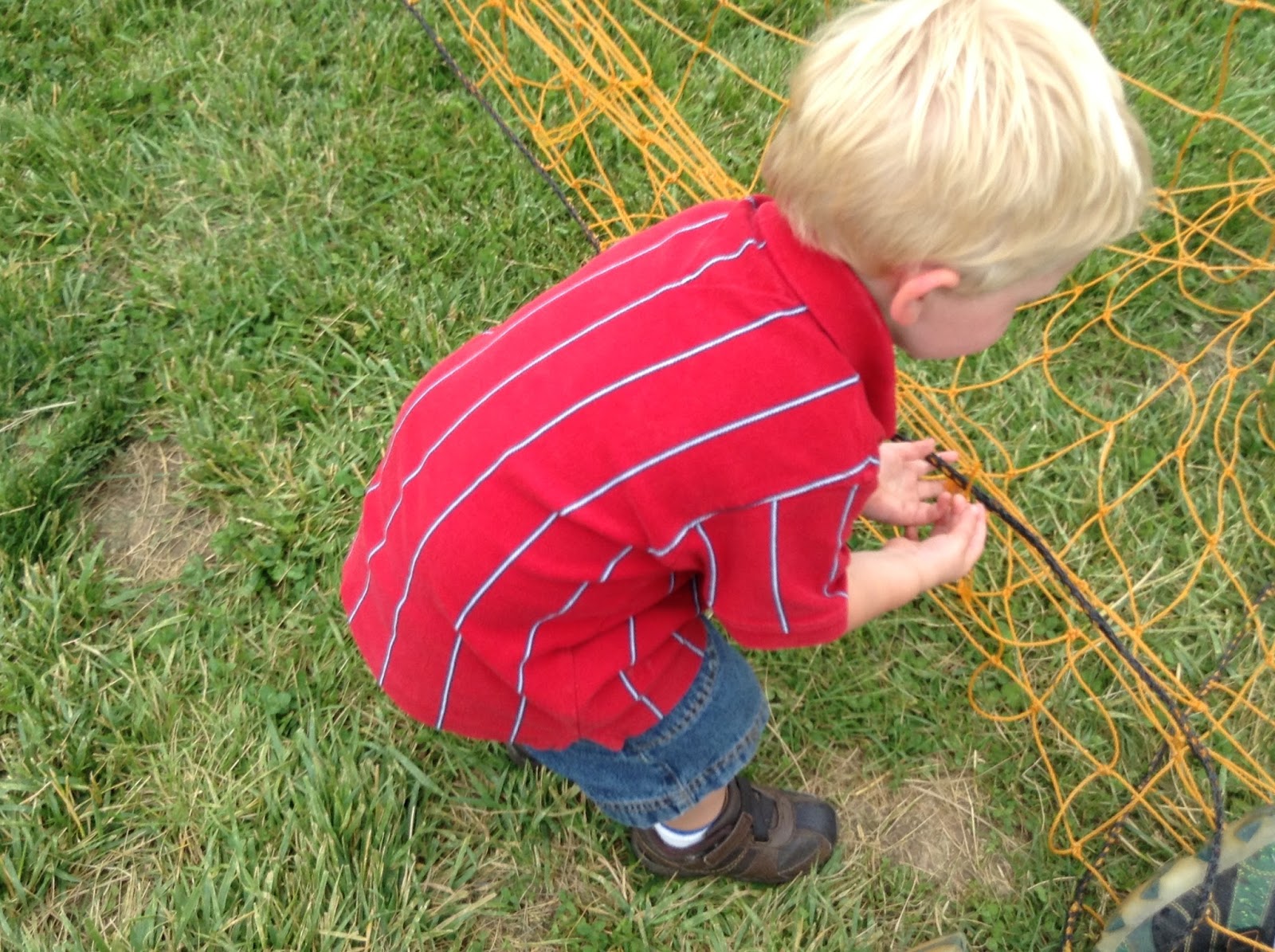 Mrs. Horn's ELP Classroom Ministering to families in Jesus' love while ...